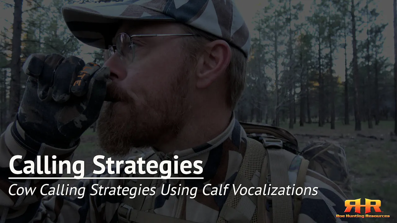 Cow Calling Strategies Using Calf Vocalizations - Calling Strategies ...