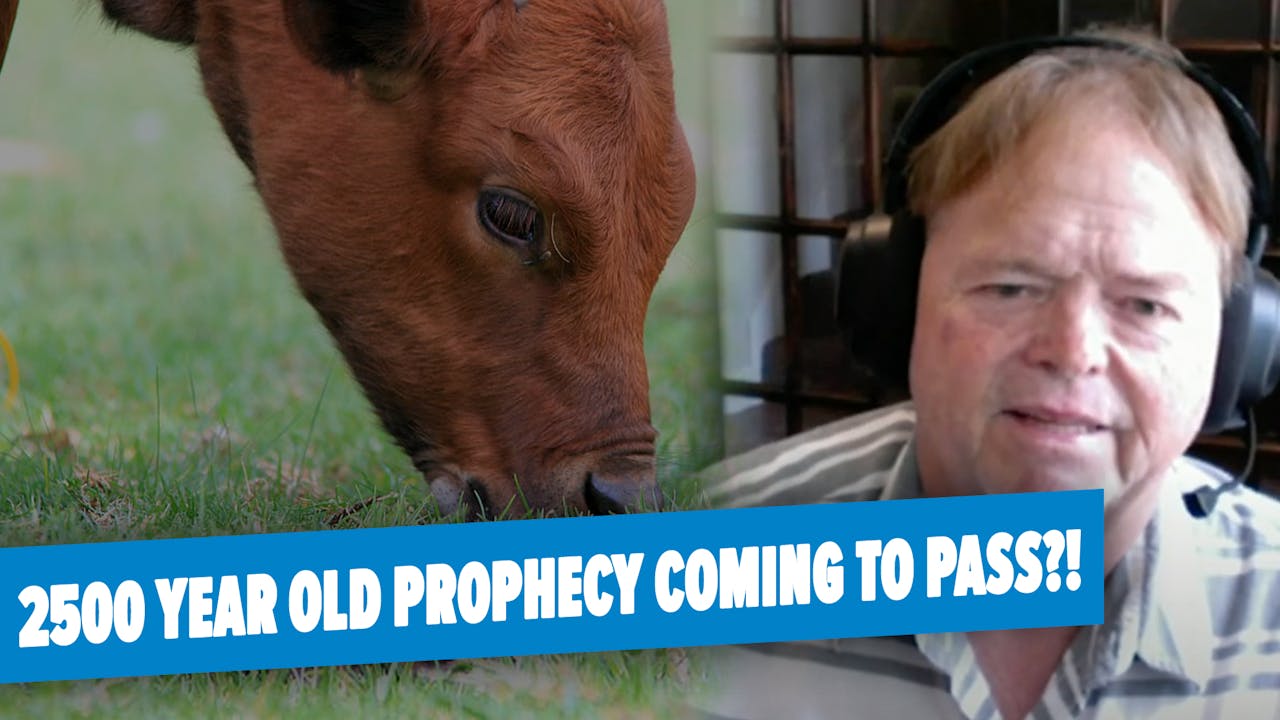 04/03/2023 - Red Heifer Discussion with Byron Stinson - 2023 - Only ...