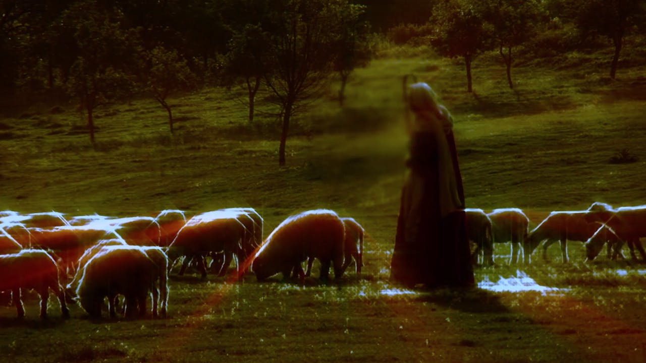 The Root and the Offspring of David - Only Source Network | Watch Only ...