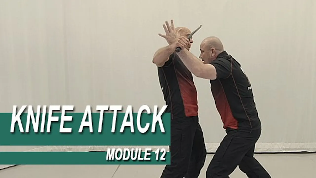 Knife Attack - Module 12 - Swinging Knife Attacks - EngageMovie ...