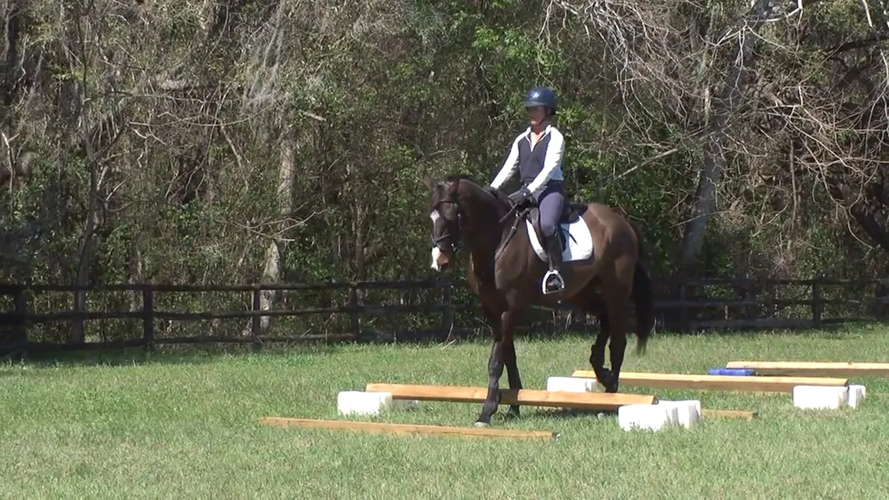 Controlling the Horse's Feet | Buck Davidson | TRAILER - Equestrian+