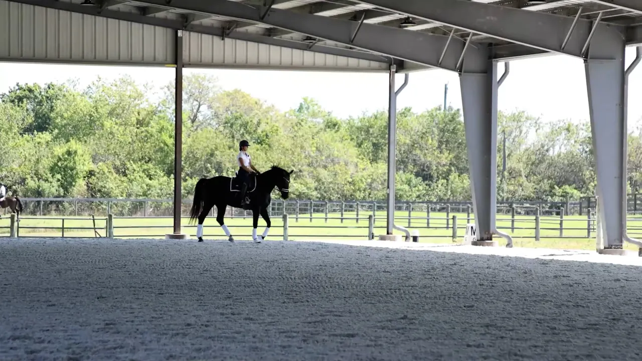 Helping a Nervous Horse Focus – Part 2 - Dressage Problem Solving ...