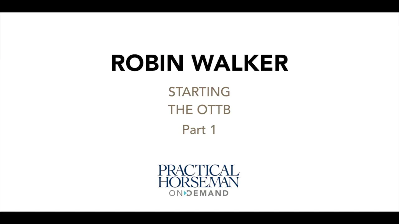 Starting the OTTB - Part 1 - Dressage - Equestrian+