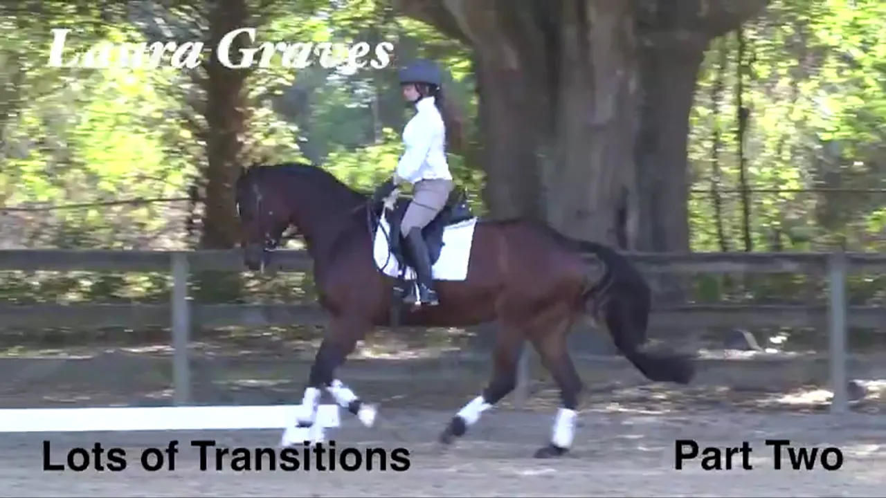 Lots of Transitions - Part 2 - Equestrian+