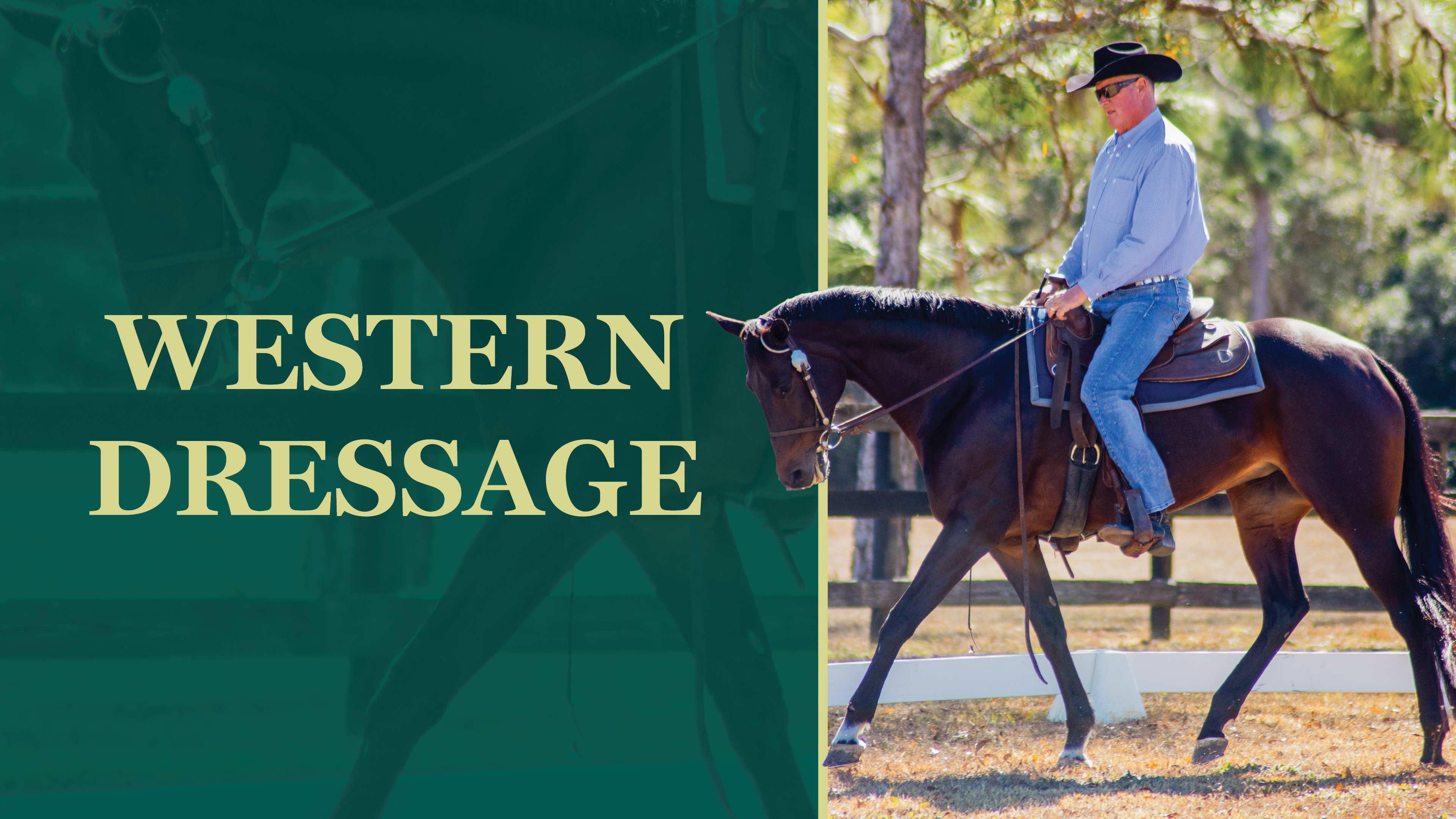 Western Dressage - Equestrian+