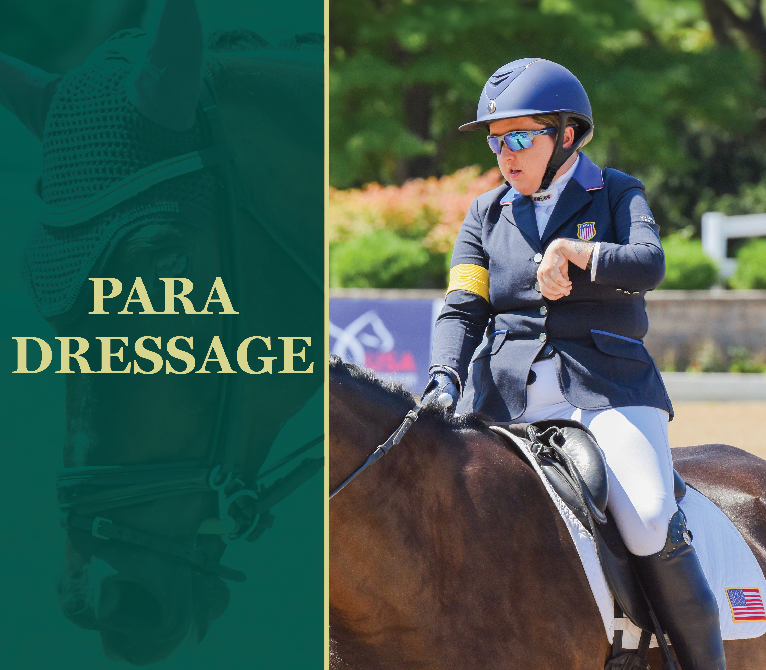 Para Dressage - Equestrian+