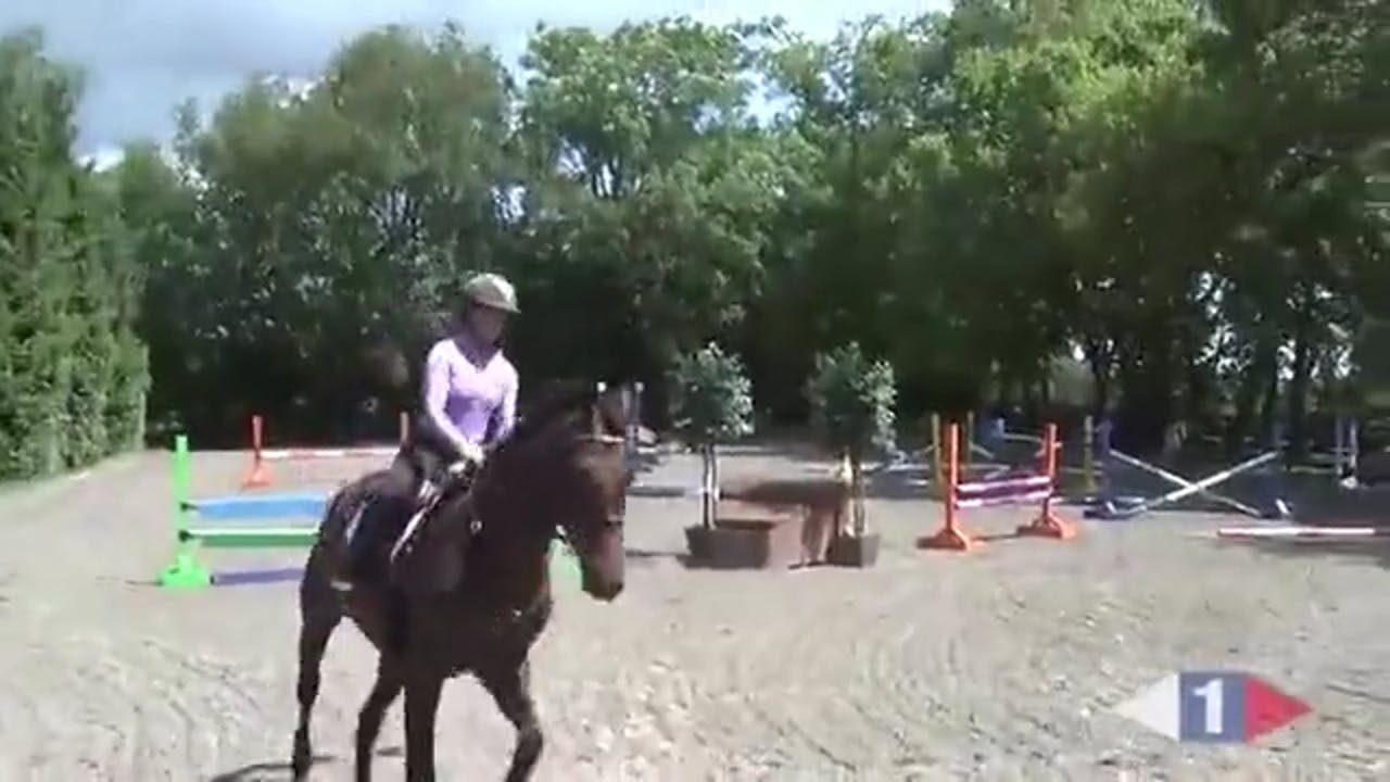 Using Corners In Stadium Jumping | Sharon White| PART 01 - Equestrian+