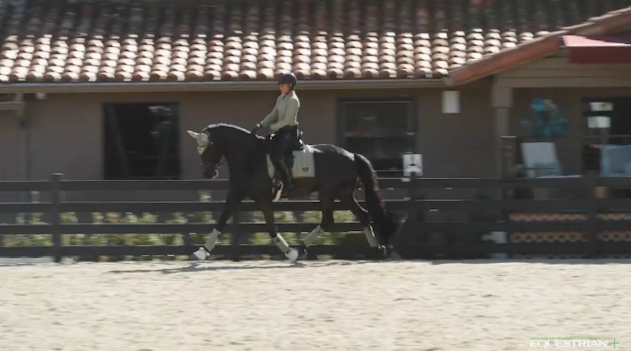 Building Trot Lengthenings Through the Levels | AnnA Buffini - AnnA ...