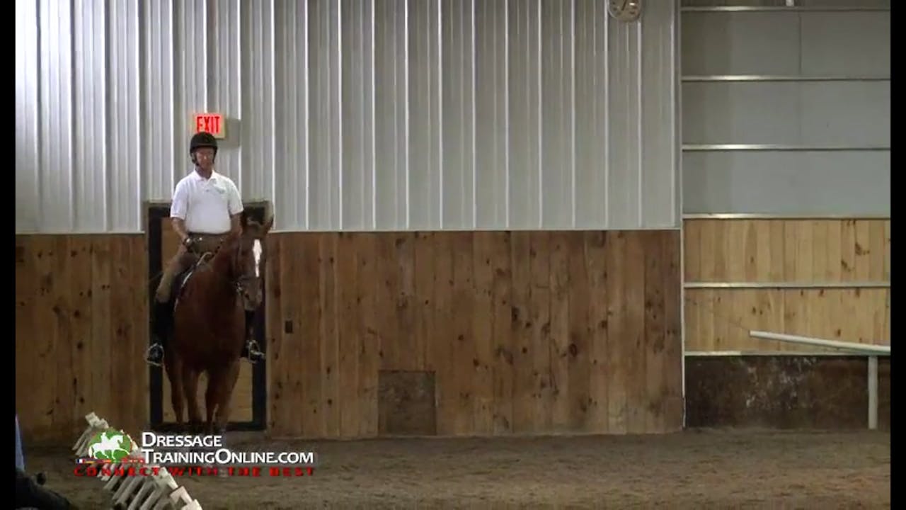 FarmVet/USDF Adult Clinic: Balance - Young Event Horse | Lilo Fore ...