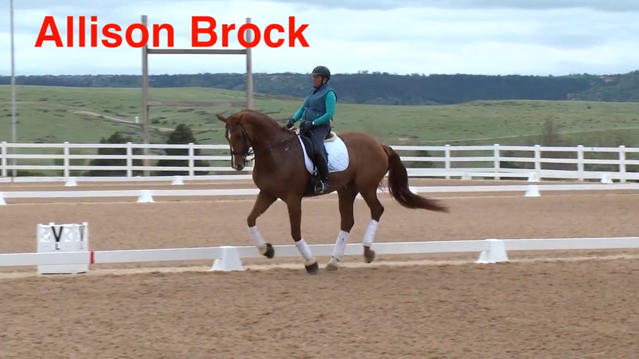 Swing - Trot | Allison Brock | PART 01 - Equestrian+