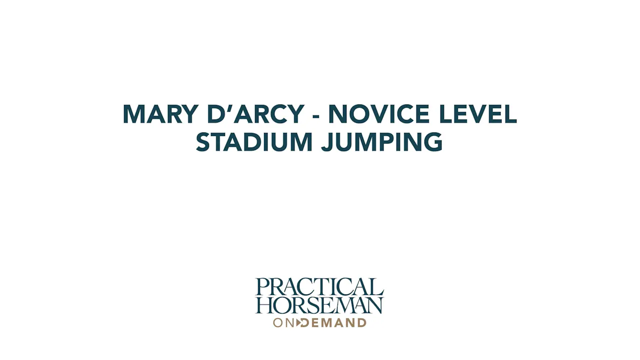 Novice Level Stadium Jumping - Equestrian+