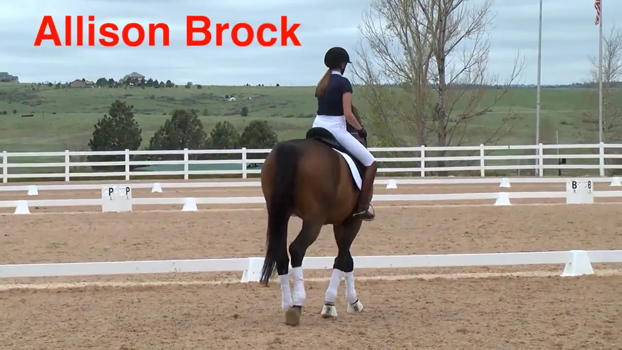 Third Level Work | Allison Brock | PART 02 - Equestrian+