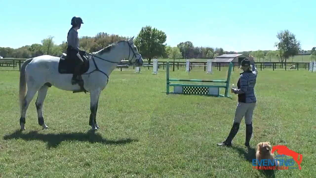 Straightness Over Jumps | Sharon White | PART 04 - Equestrian+