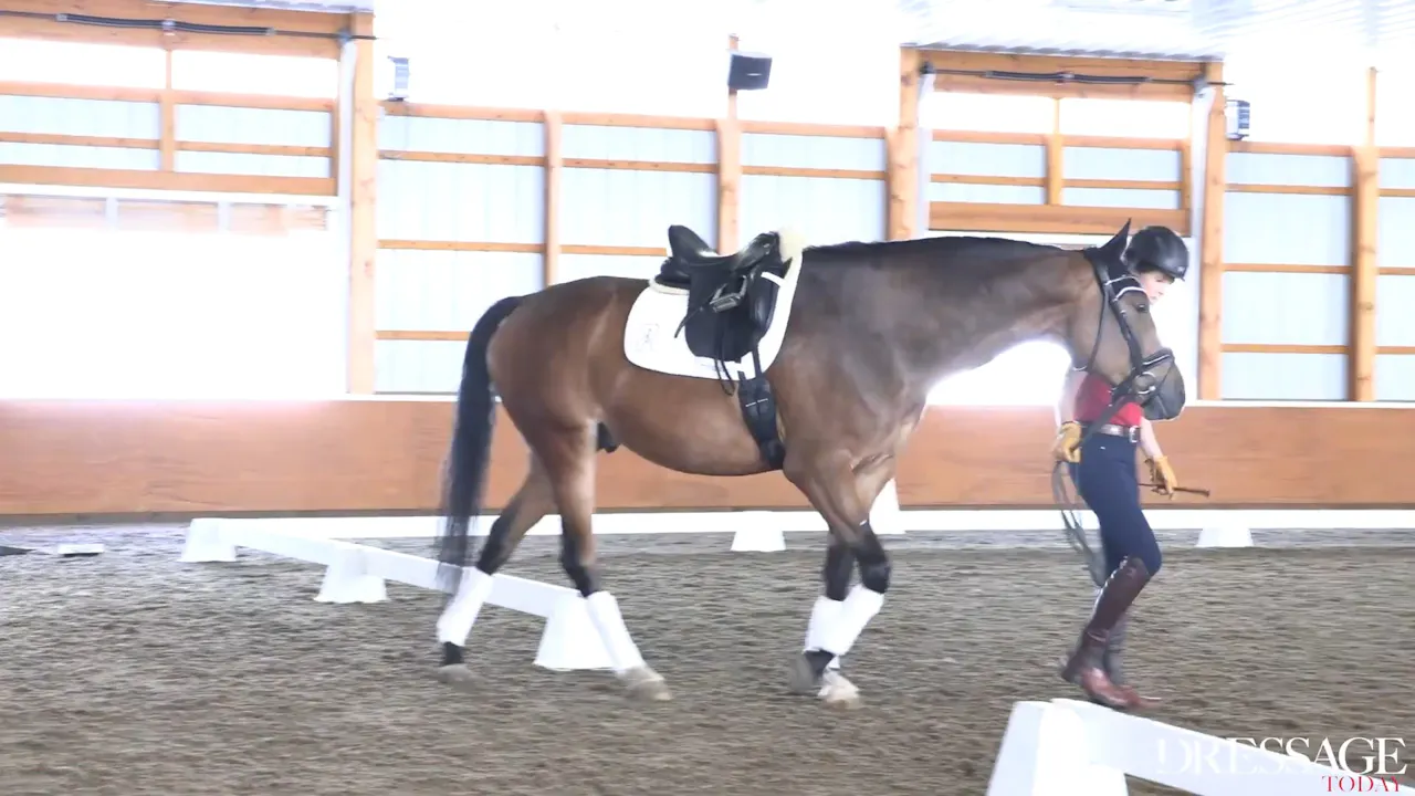 Straightness and Relaxation | Felicitas von Neumann-Cosel - Equestrian+