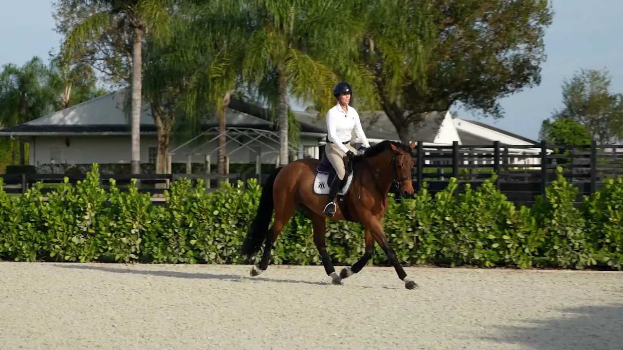 Counting Strides to a Single Vertical | Keri Kampsen - Equestrian+