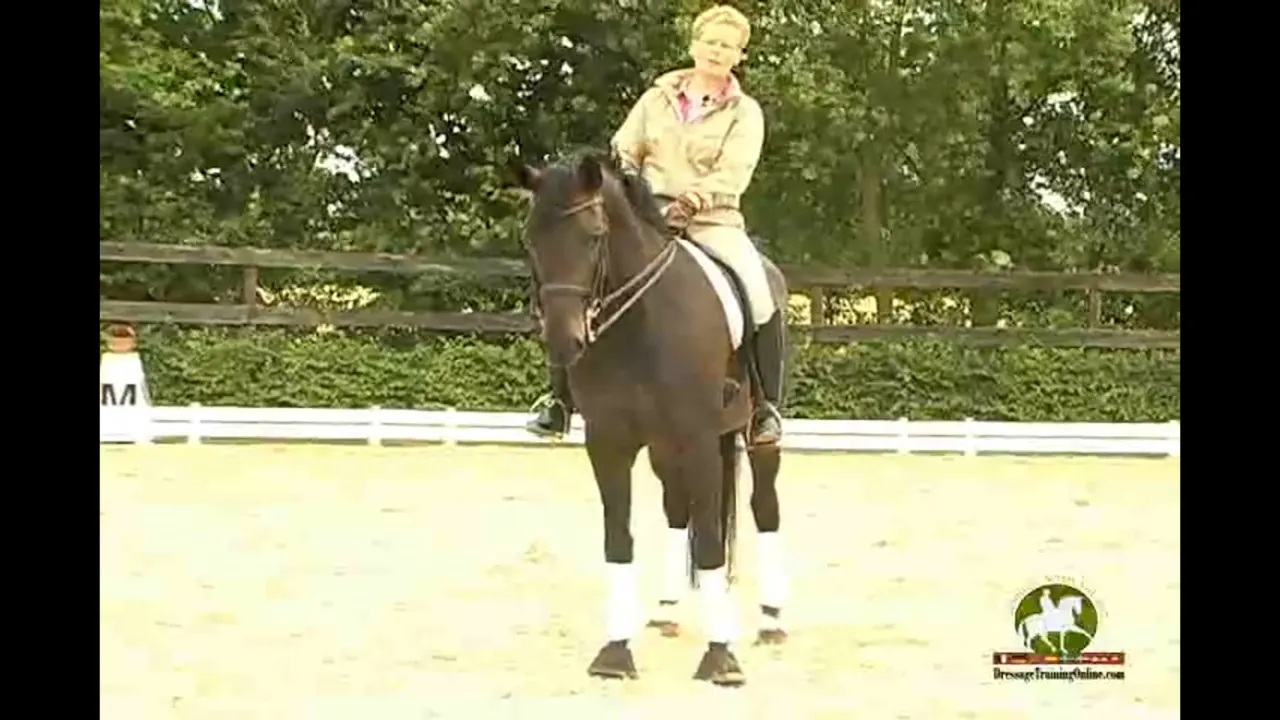 Canter Pirouettes and Half Steps | Katrin Bettenworth | PART 01 ...