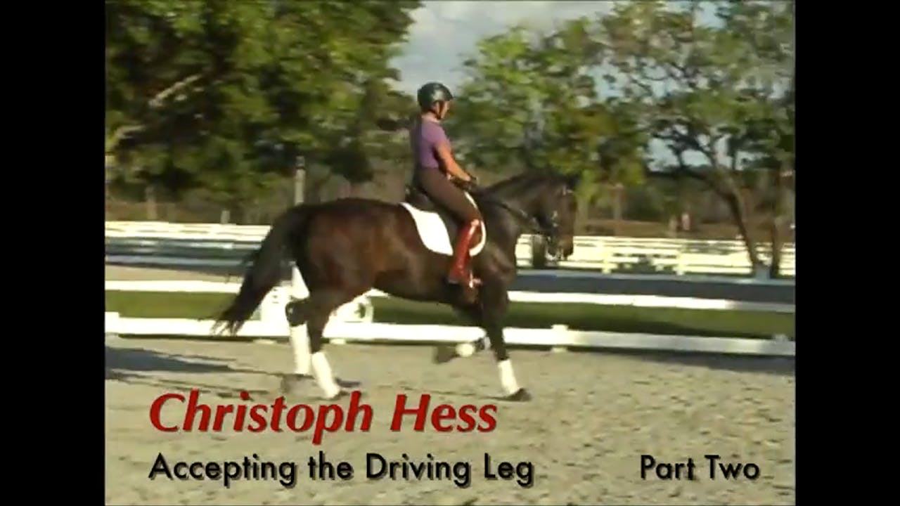 Christoph Hess instructs Accepting the Driving Leg, Part 2 - Equestrian+