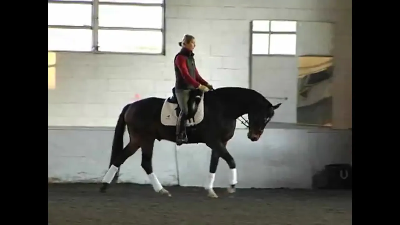 Gait Quality & Developing the Piaffe and Passage | Courtney King-Dye ...
