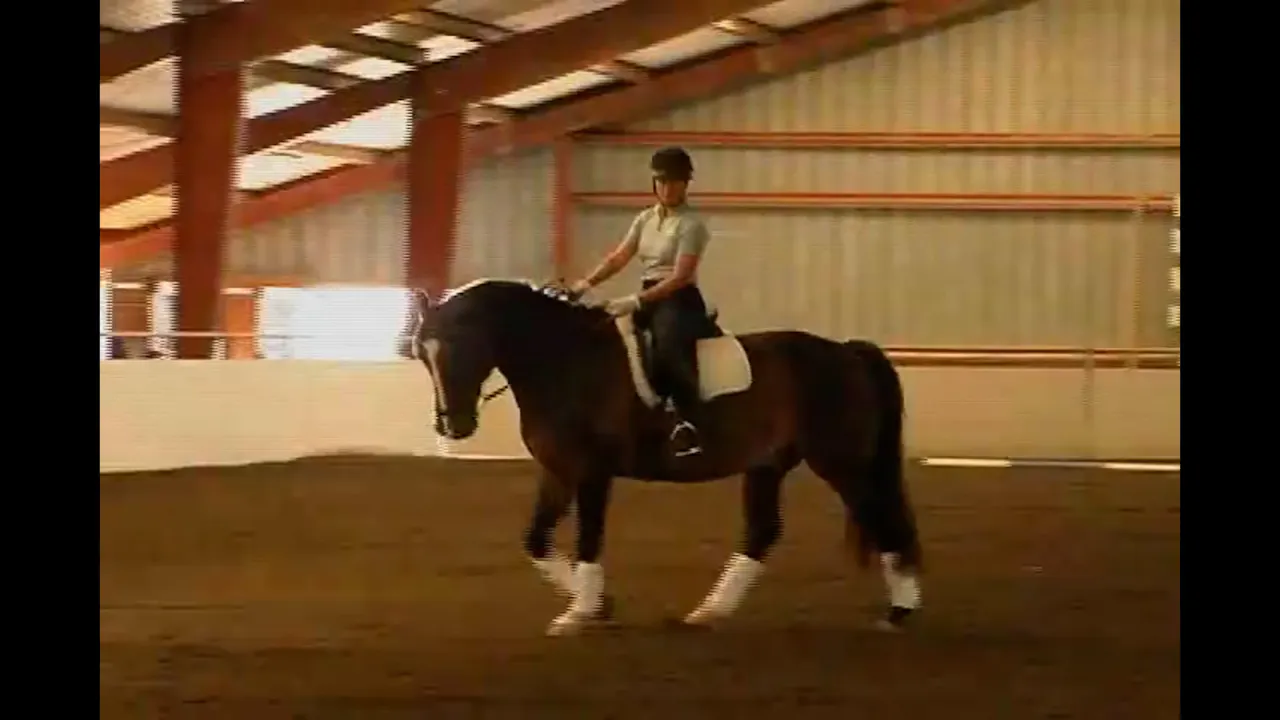 The use of cavaletti, to encourage the horse to swing through his back ...