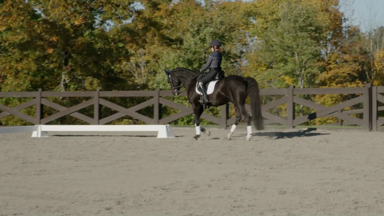 Schooling an Upper-Level Pony – Trot Work - Prix St. Georges - Equestrian+