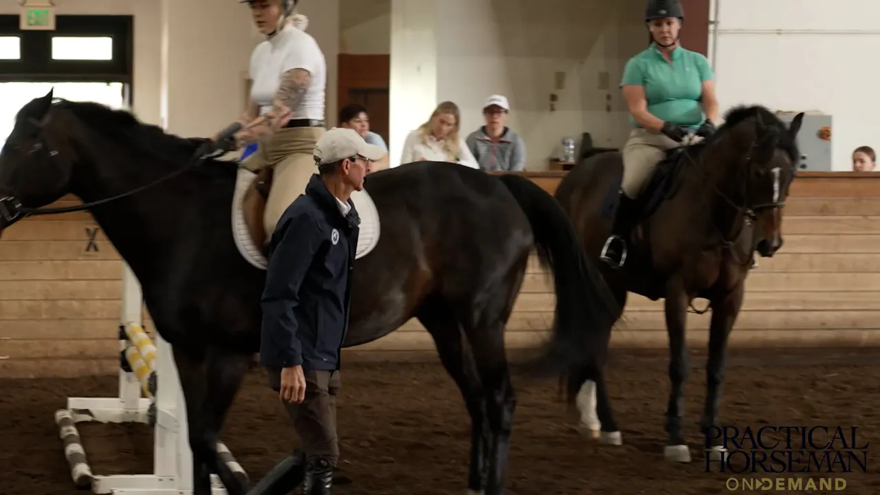 2’ to 2’3” Level – Understanding Pace - Hunters/Equitation - Equestrian+