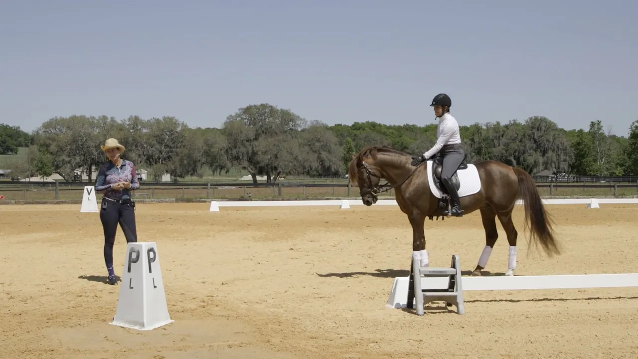 Upper-Level Rider Biomechanics | Stephany Fish Crossman | PART 01 ...