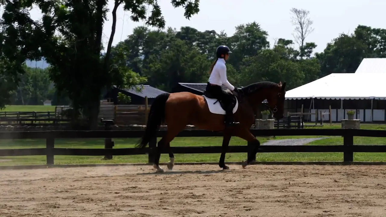 Lengthening and Collecting the Horse's Stride | Sloane Coles - Equestrian+