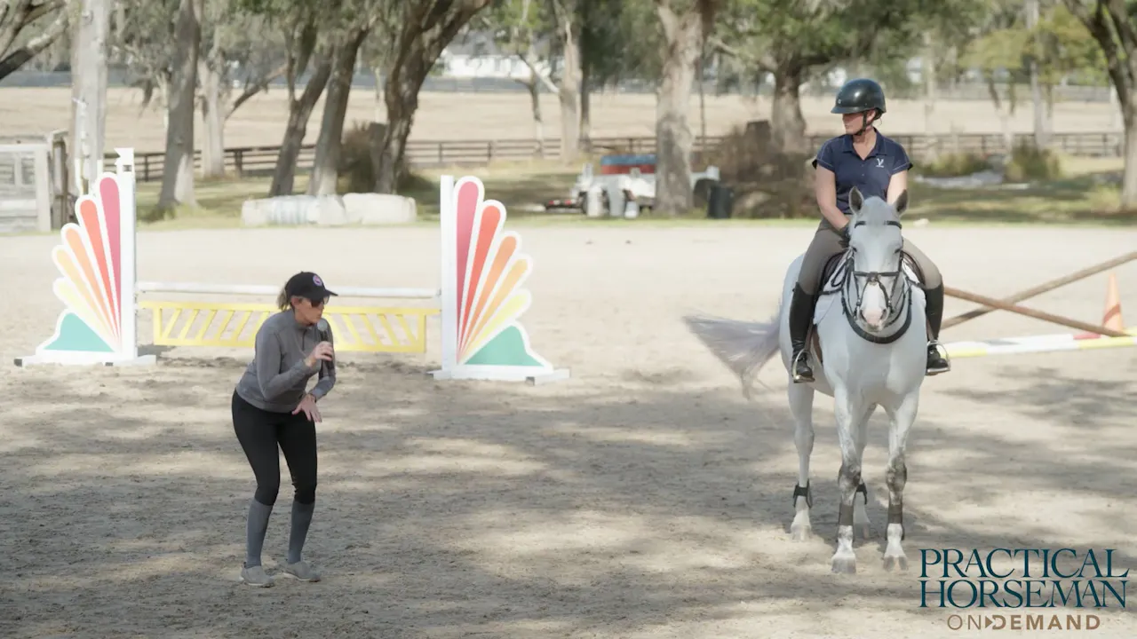 Modified Level Stadium Jumping - Equestrian+