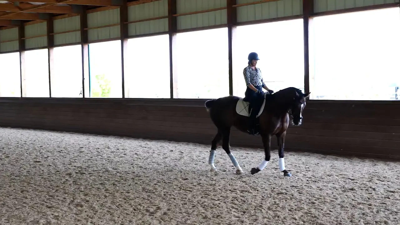 Riding Both Sides of the Horse for Alignment | Olivia Lagoy-Weltz ...