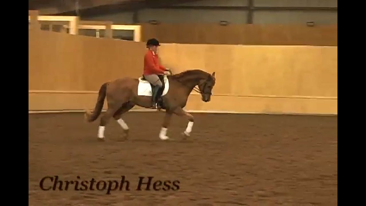 Canter Rhythm | Christoph Hess | PART 02 - Equestrian+