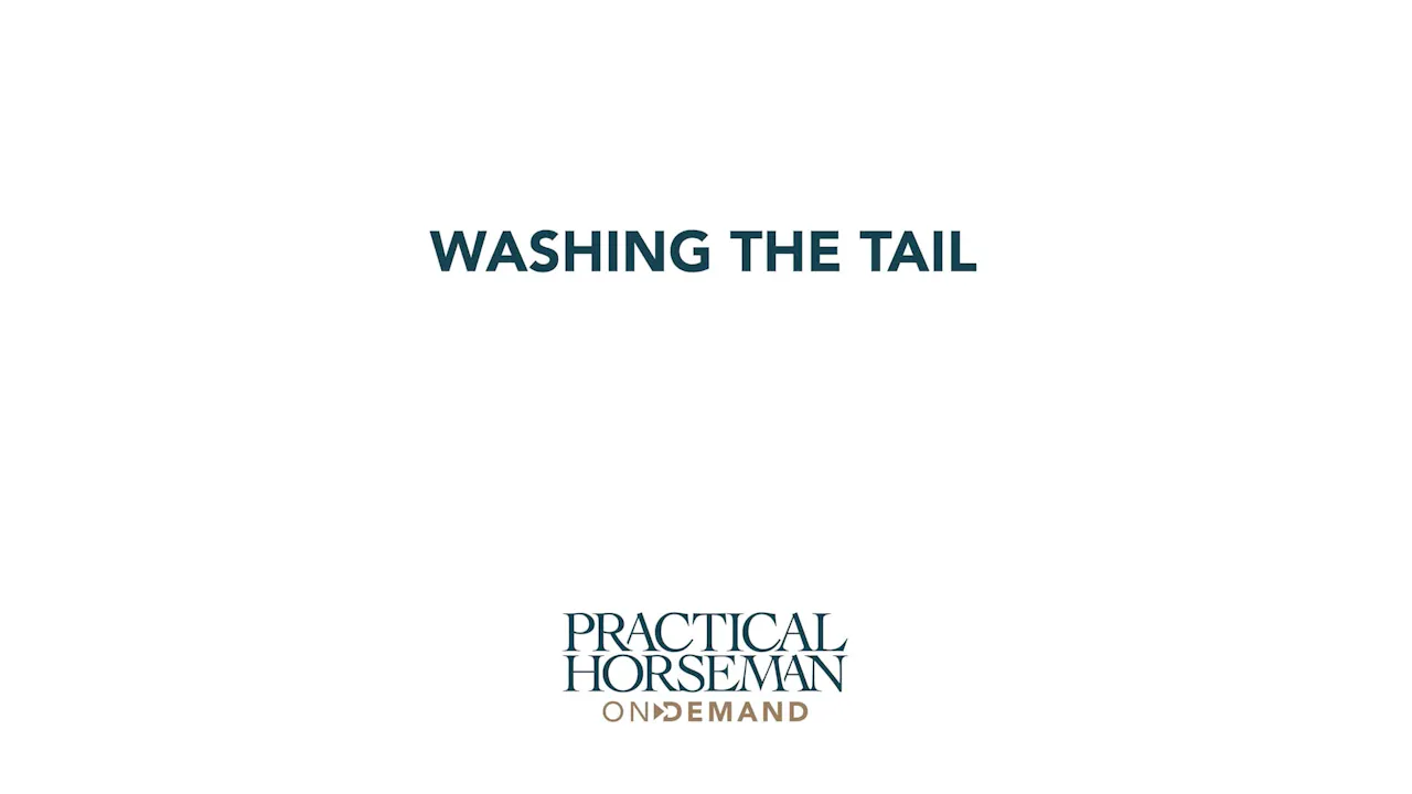 Washing the Tail | Laurie Pitts - Health/Stable Management - Equestrian+