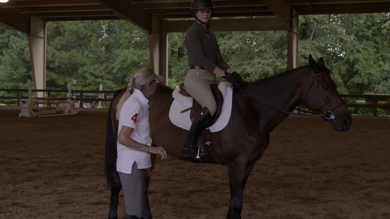 Rider Position: Full Seat and Half Seat | Holly Hugo-Vidal - Equestrian+