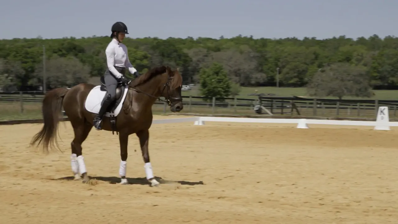 Upper-Level Rider Biomechanics | Stephany Fish Crossman | PART 02 ...