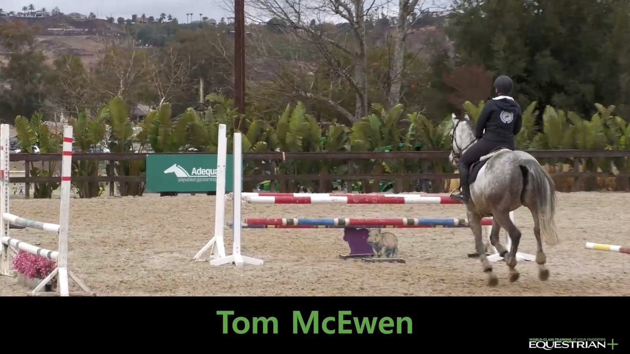 Straightness Over Simulated Cross-Country Jumps | Novice/Training | Tom ...