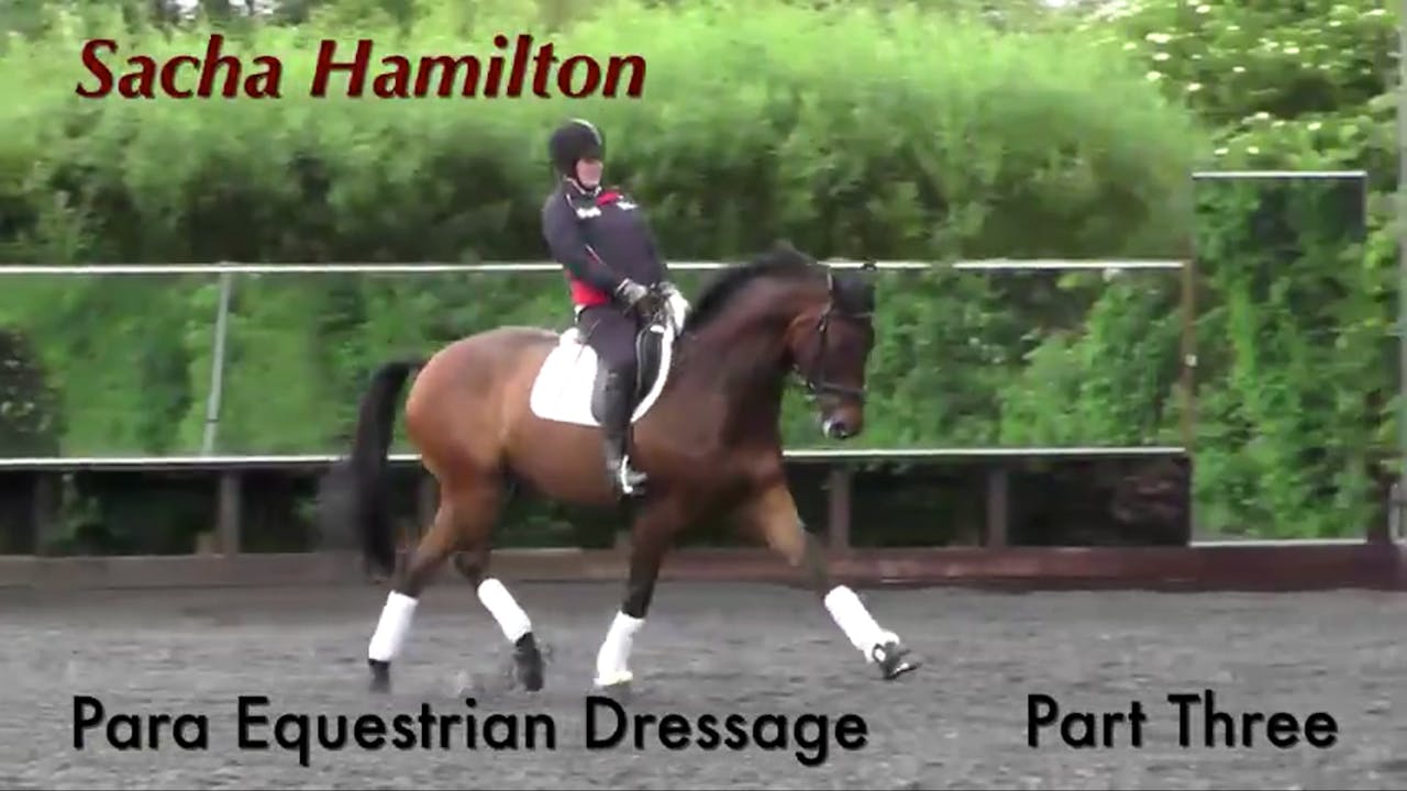 Sacha Hamilton - Para Equestrian Dressage - Part 3 - Equestrian+