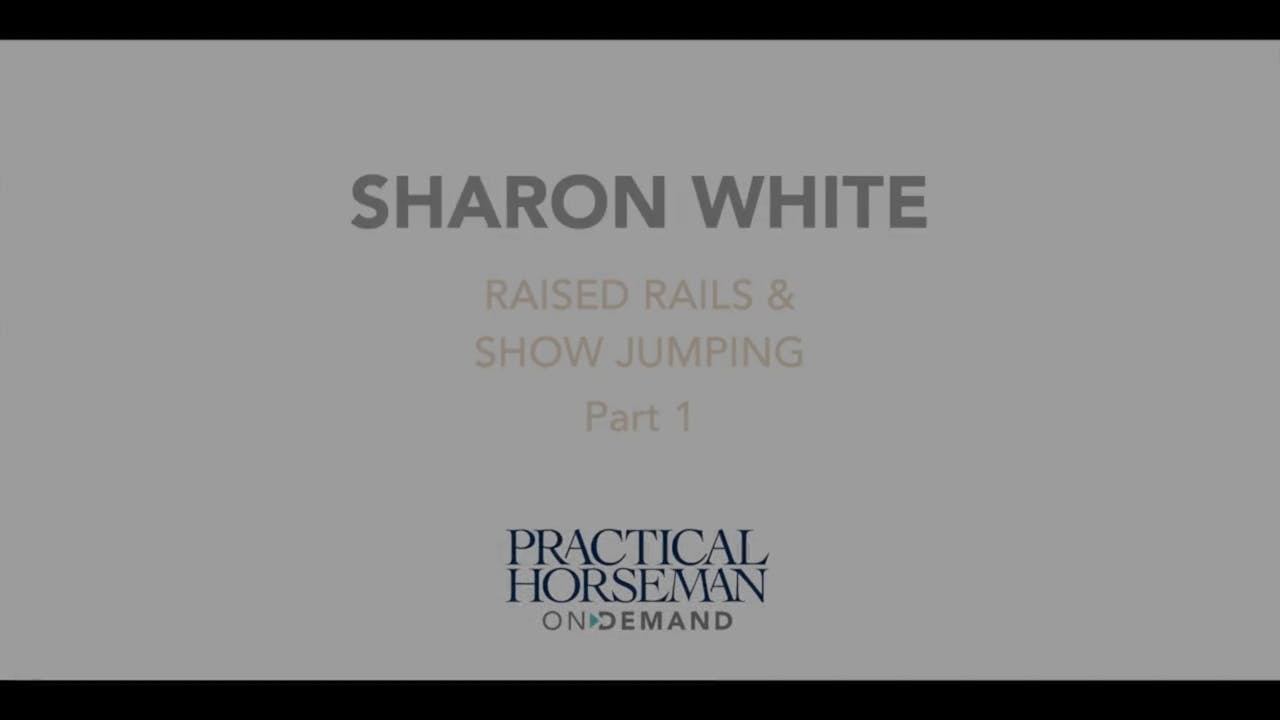 Raised Rails and Stadium Jumping - Part 1 - Stadium Jumping - Equestrian+