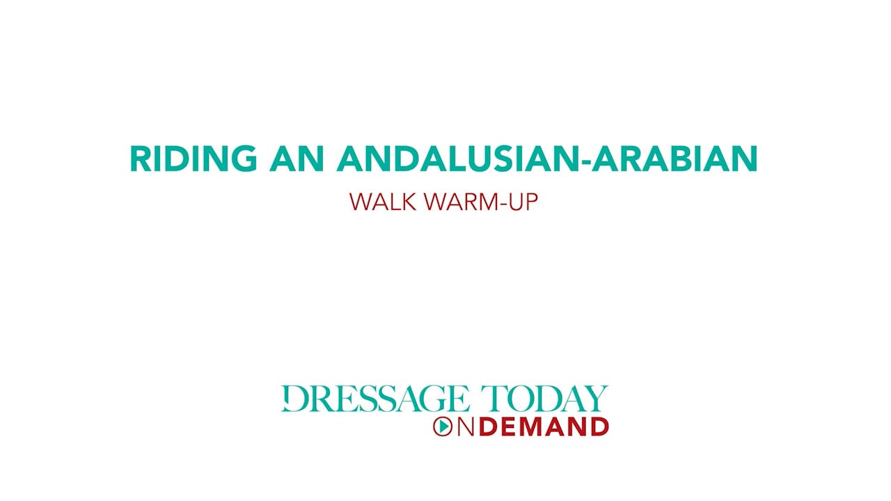 Riding an Andalusian-Arabian Walk Warm-up | Laura Ashley Killian ...
