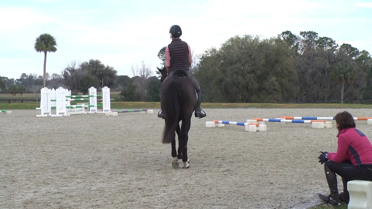 Dressage Basics | Bettina Hoy | PART 01 - Dressage - Equestrian+