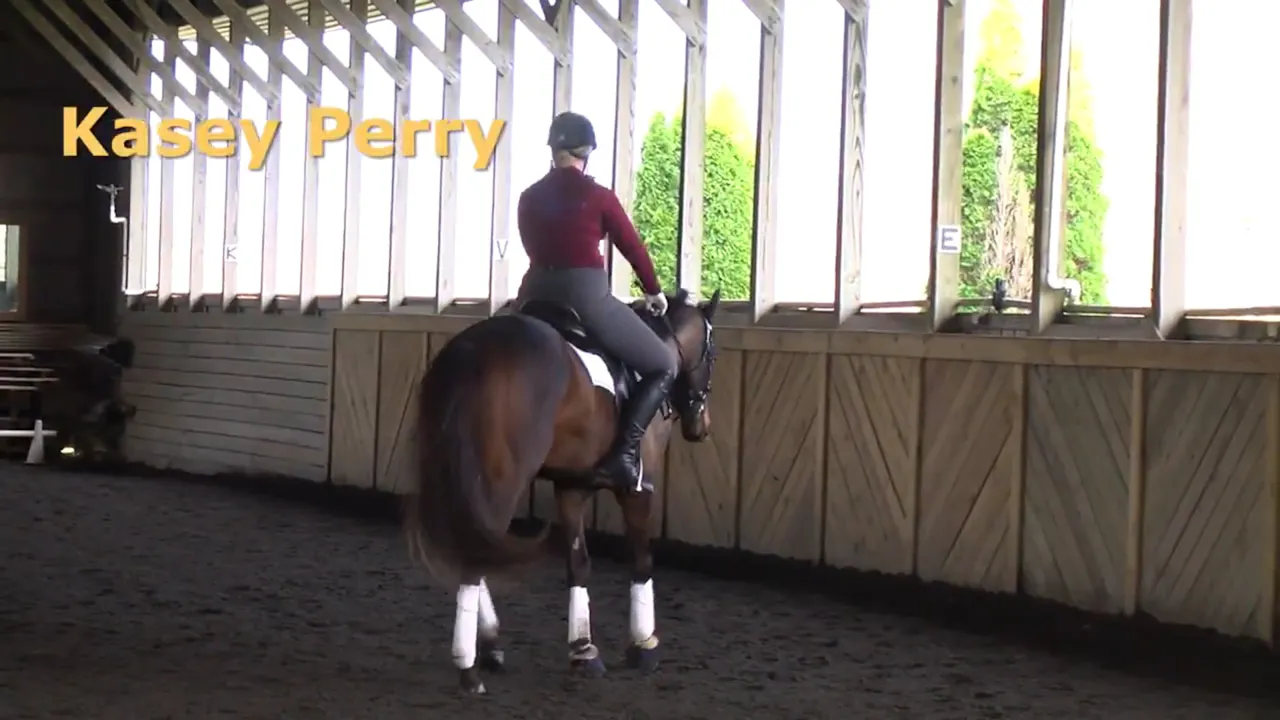 OTTB Part 2 - Equestrian+