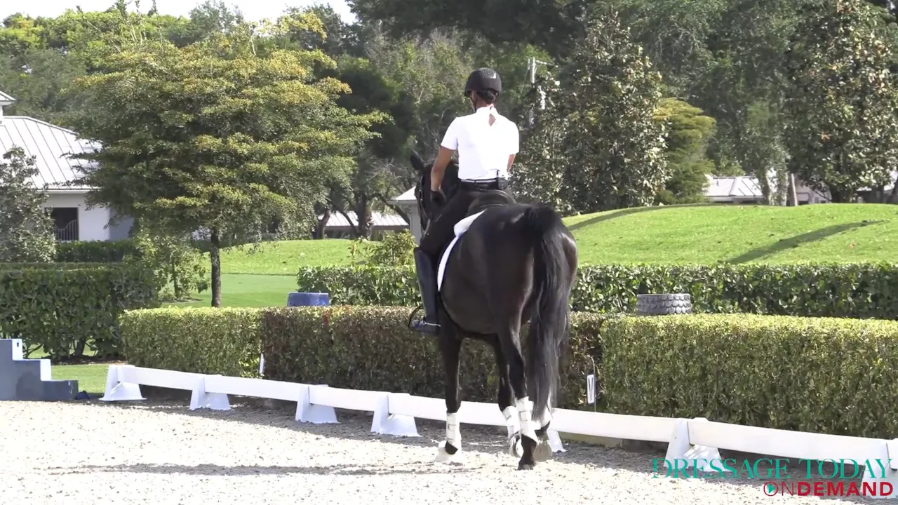 Walking the Magic Square | AnnA Buffini - Equestrian+
