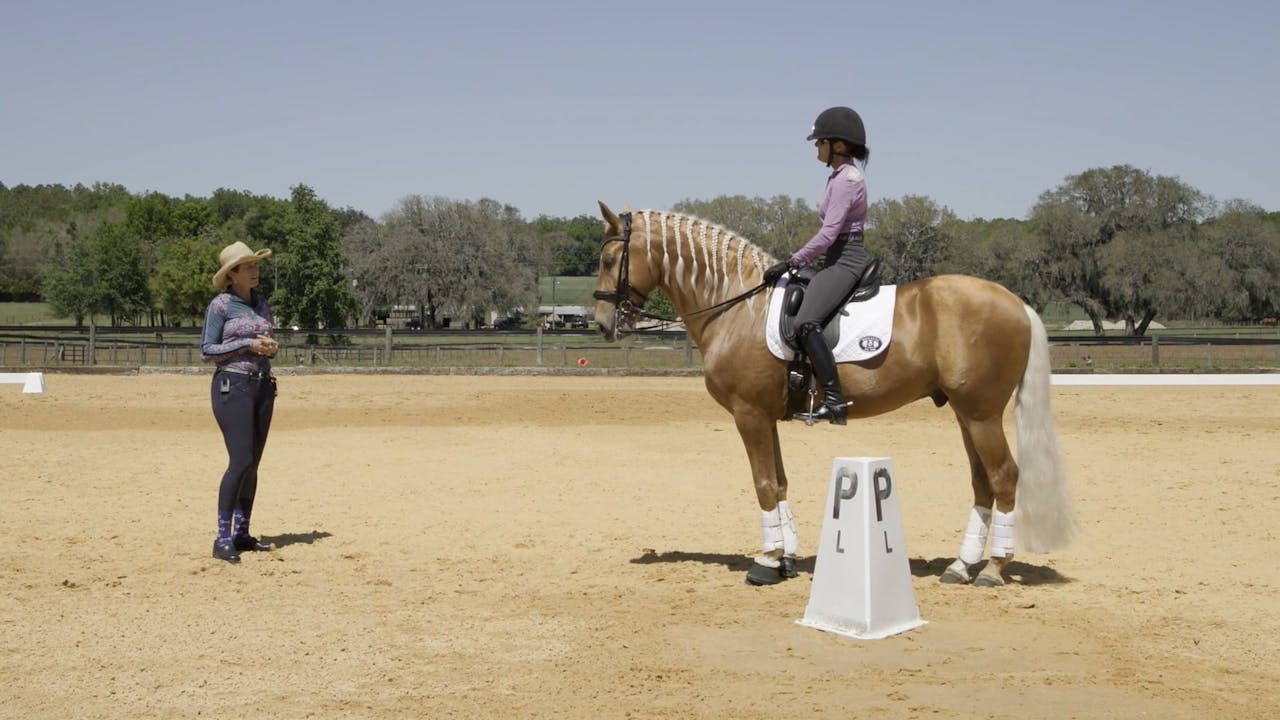 Grand Prix Level Rider Biomechanics | Stephany Fish Crossman | PART 01 ...