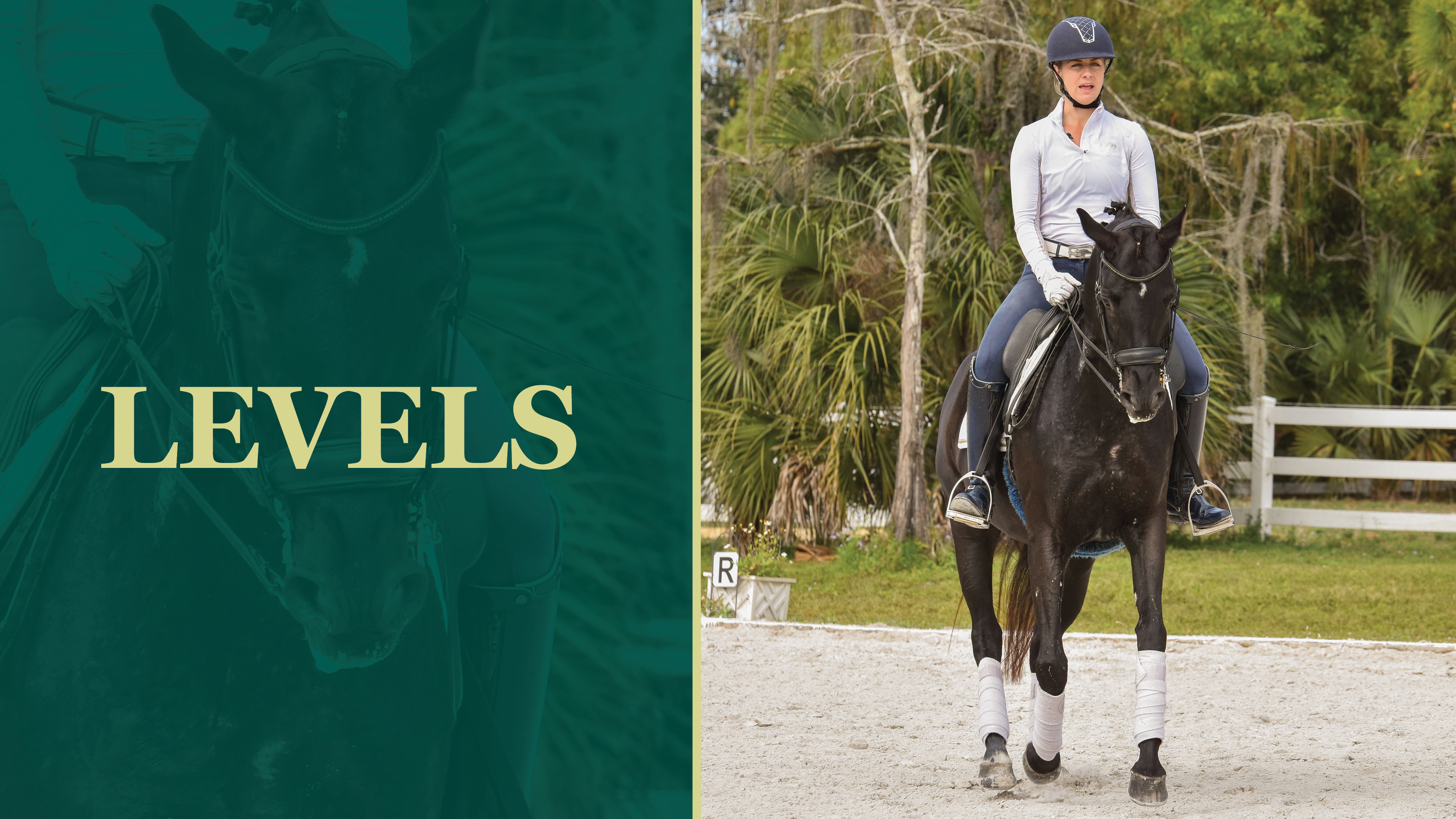 Levels - Equestrian+