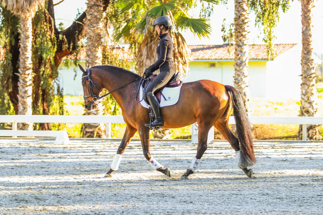 Ashley Donadt: Ride Mindful Corners - Prix St. Georges - Equestrian+