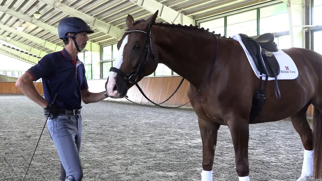 Parking at the Mounting Block | Michael Bragdell - Equestrian+