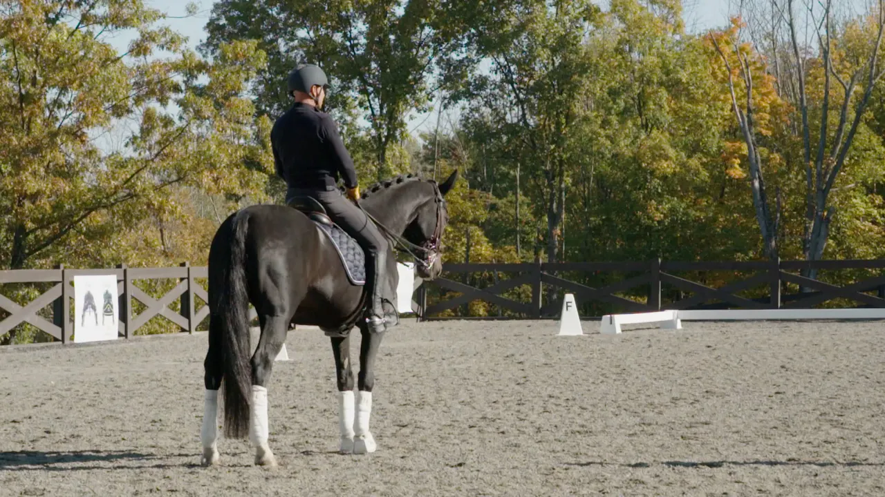 Assertive Rider Communication – Part 1 - Rider Position and Aids ...