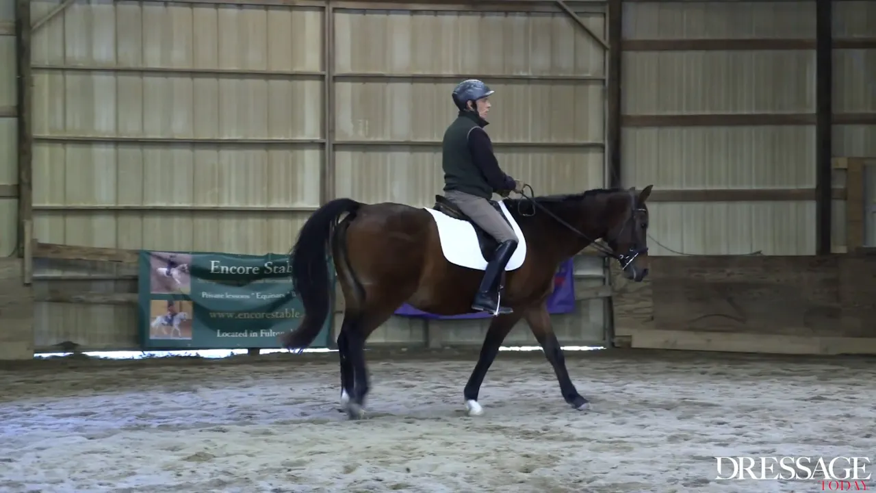 Correct Alignment | Felicitas von Neumann-Cosel | PART 02 - Equestrian+