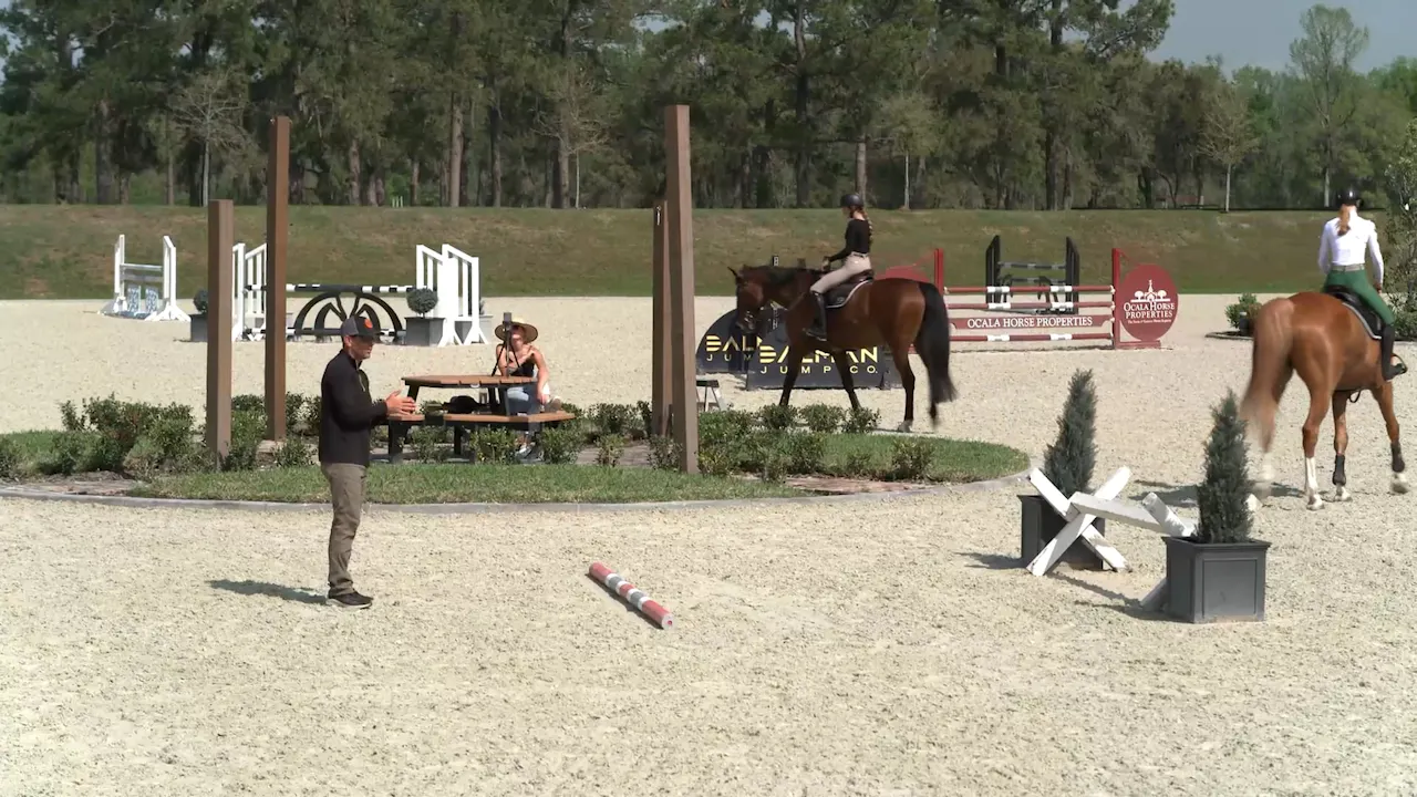 Single Cavalletti Warm-up Exercise – Part 2 - Jumping - Equestrian+