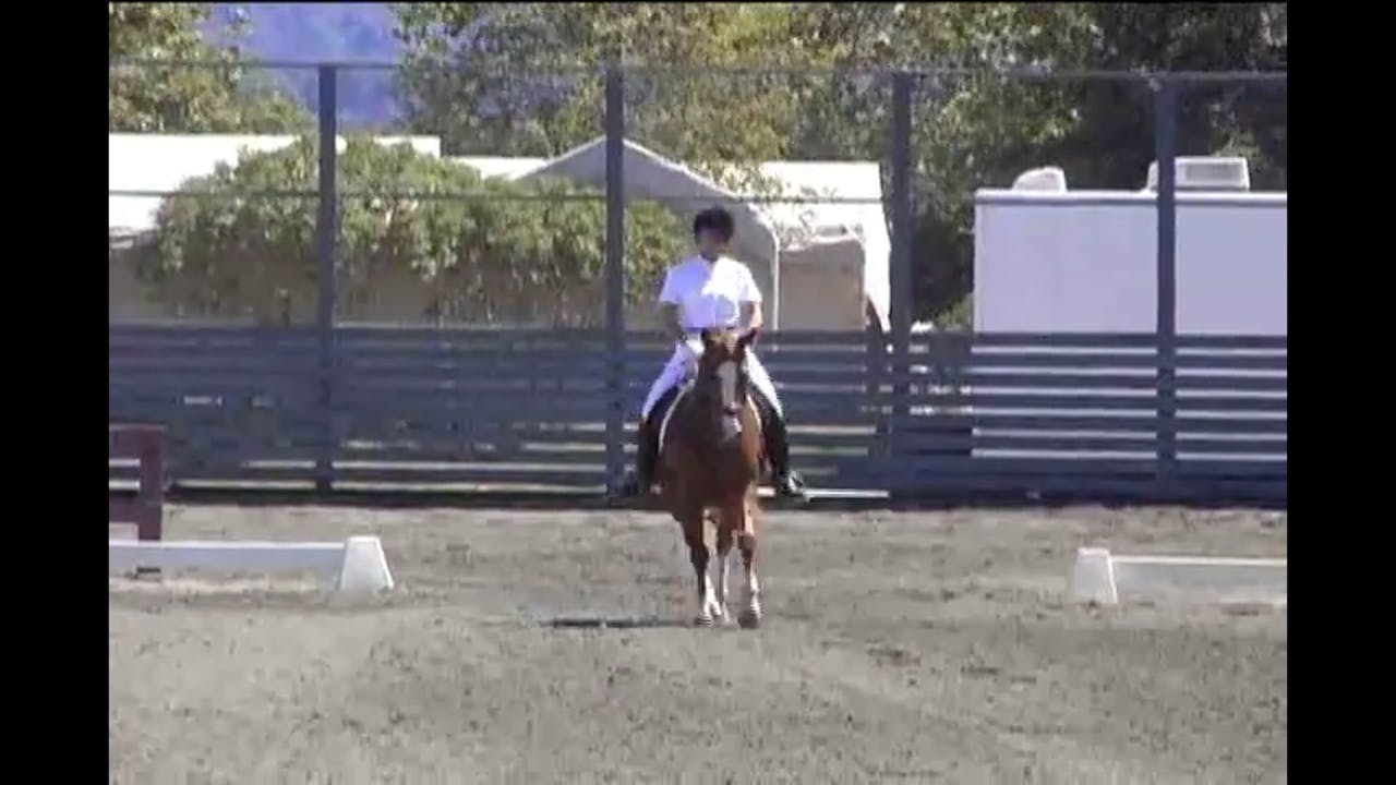 Hilda Gurney judging Training Level Test 3 - Equestrian+