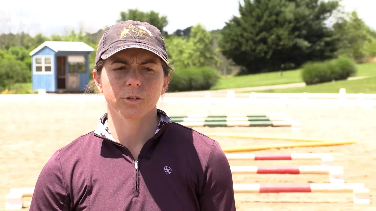 Spiraling In and Out with Cavalletti | Michele Wellman - Equestrian+