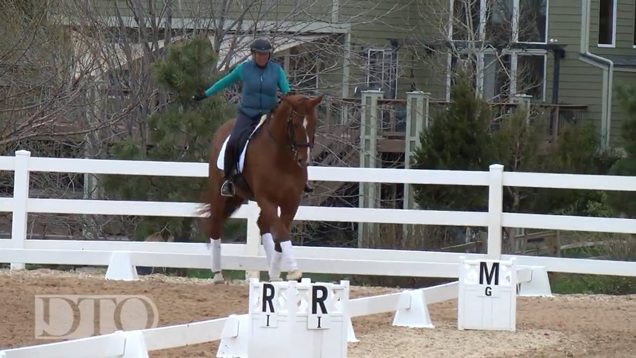 Swing Intro | Allison Brock - Dressage Problem Solving - Equestrian+